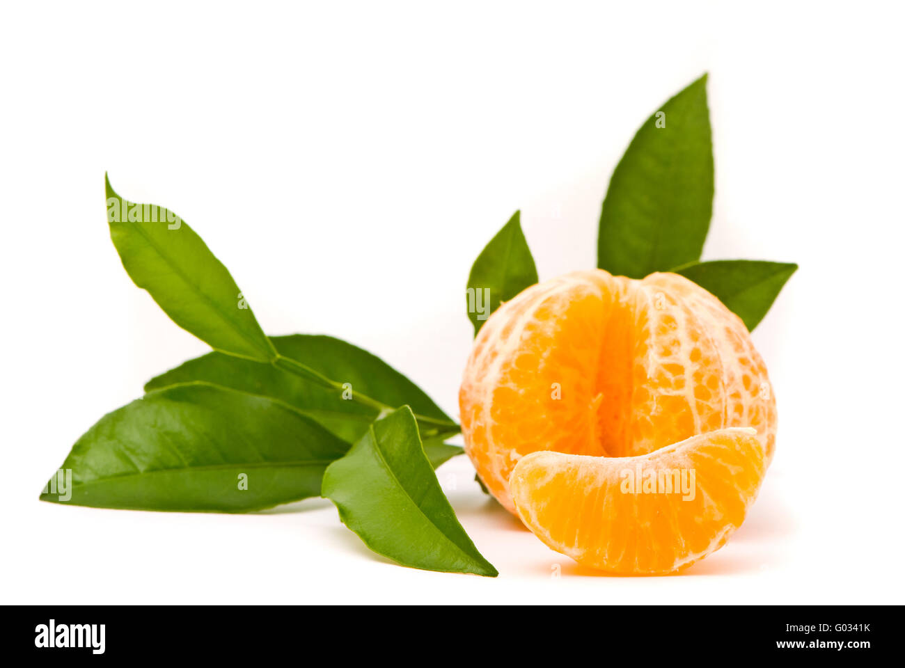 Shadow tropical leaves on Cut Out Stock Images & Pictures - Alamy