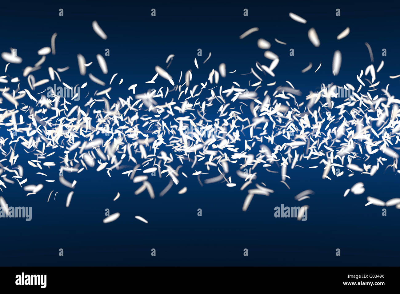 Falling flower petals hi-res stock photography and images - Alamy