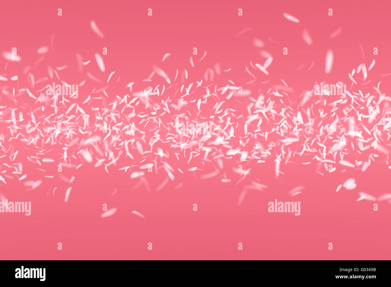 Falling flower petals hi-res stock photography and images - Alamy