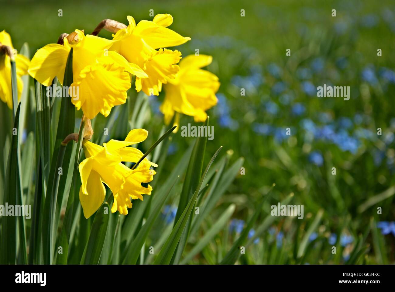 Stern spring hi-res stock photography and images - Alamy