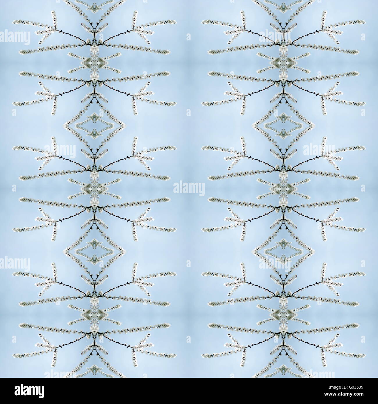 Series of the seamless natural patterns (blossom cherry-branch Stock ...