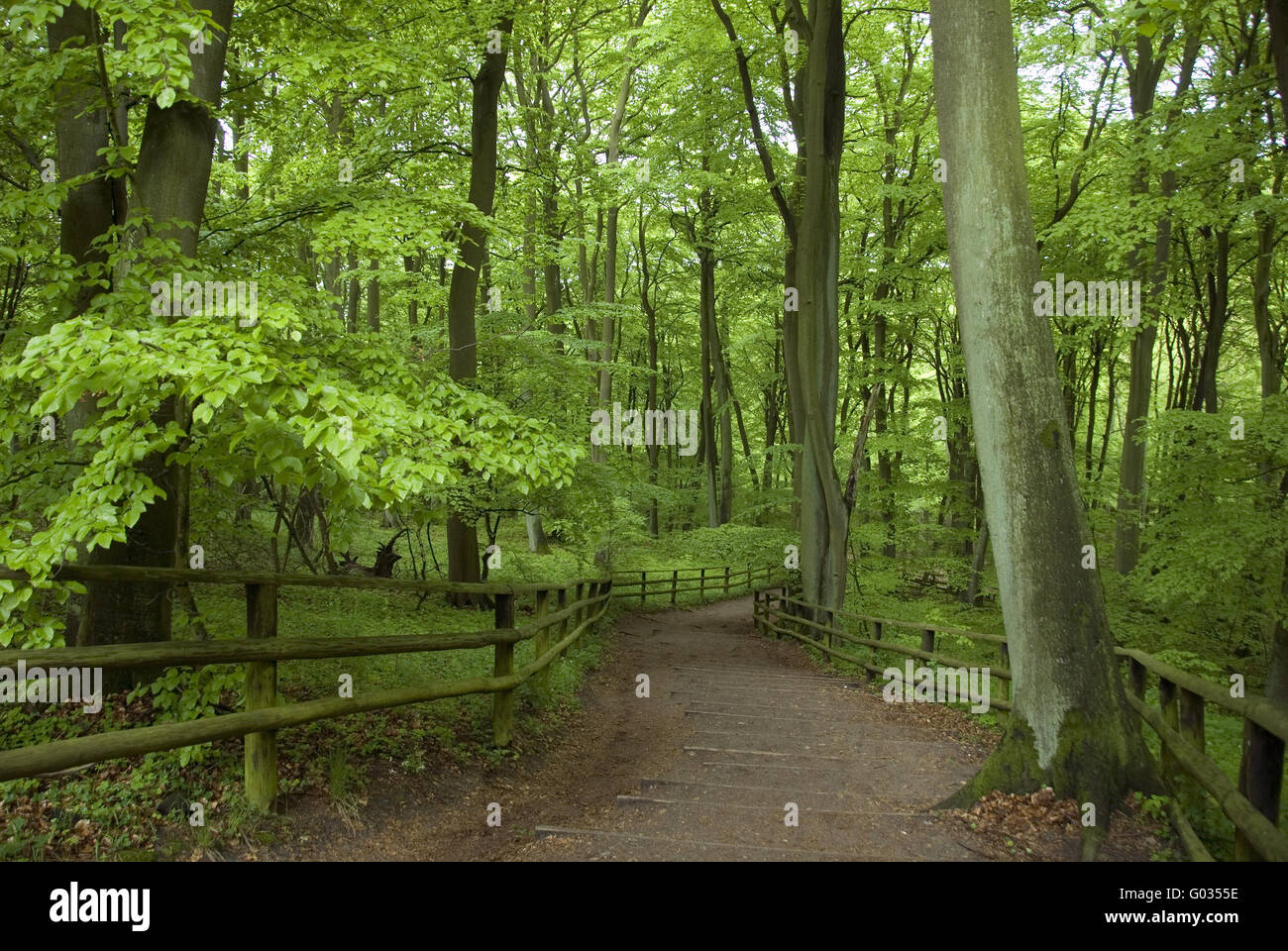 Nationalpark Wollin High Resolution Stock Photography and Images - Alamy