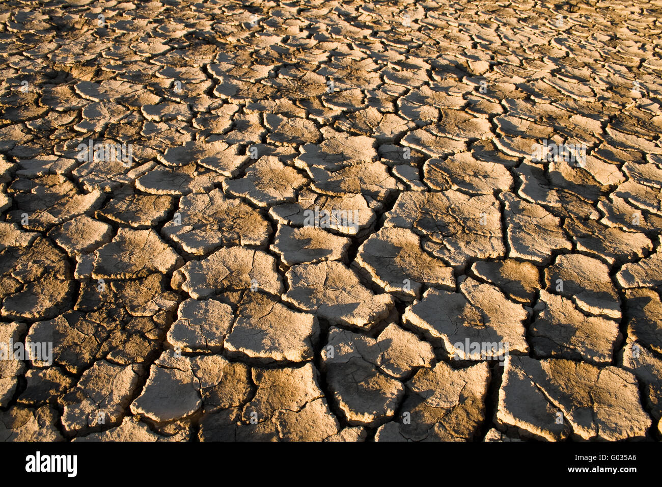 The soil in the fissures appeared on the long-term heat Stock Photo - Alamy