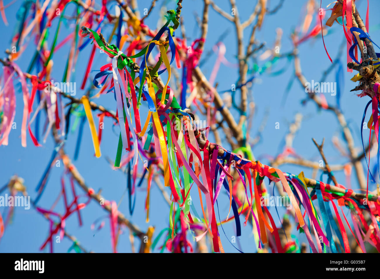 Wish Tree branches tied with colorful ribbons Stock Photo - Alamy