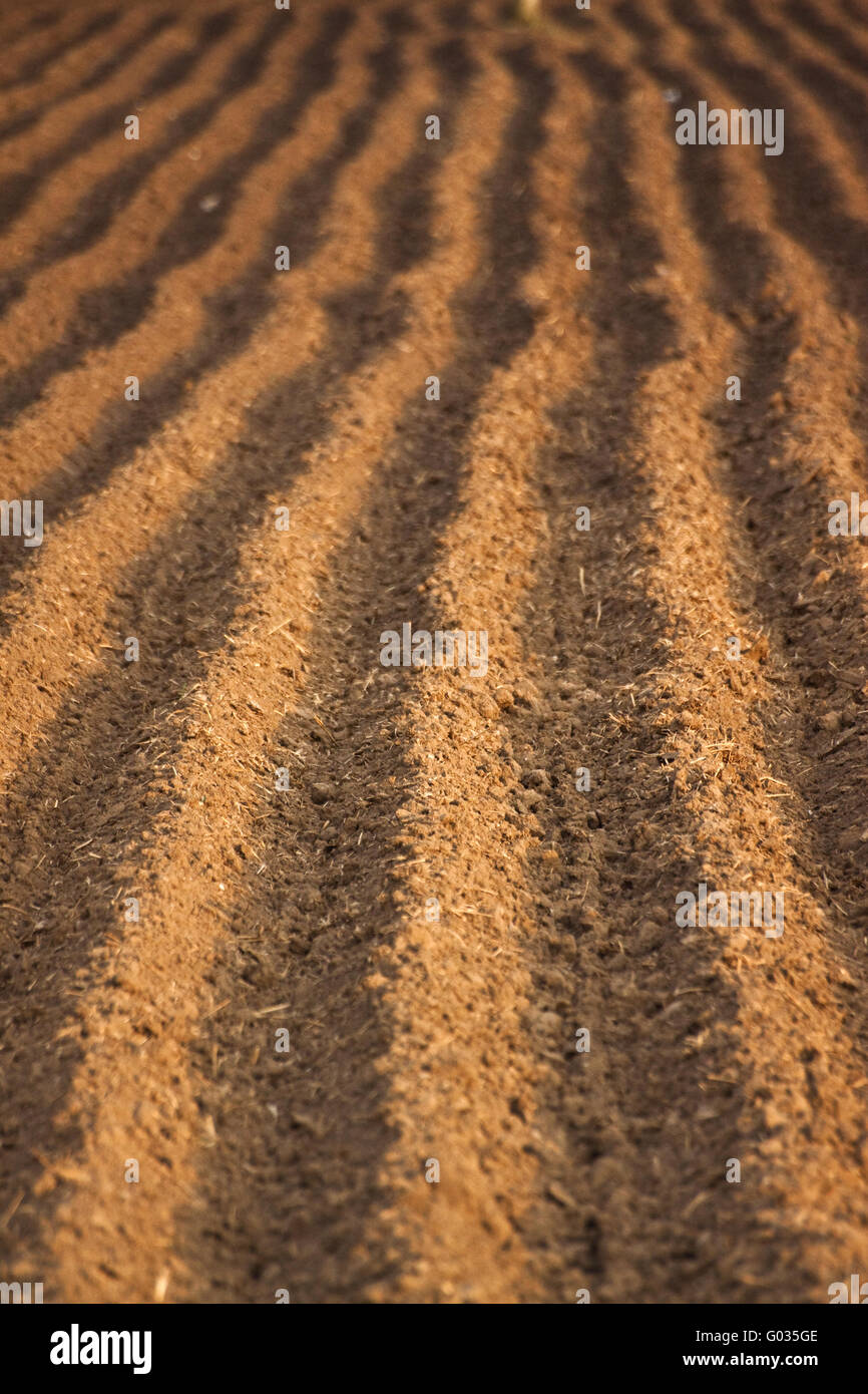 Plow lines hi-res stock photography and images - Alamy