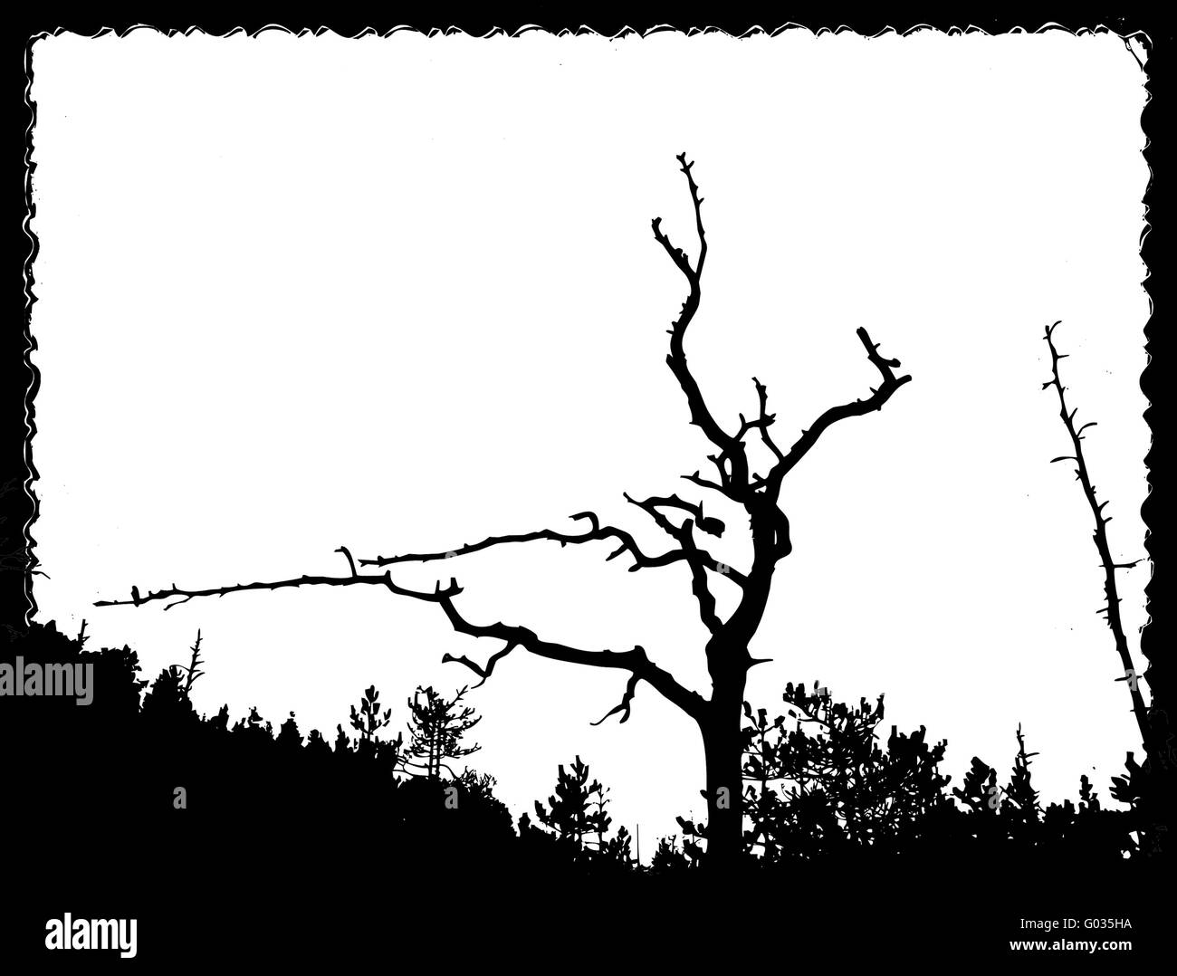 vector drawing old tree on torn sheet of paper Stock Photo - Alamy