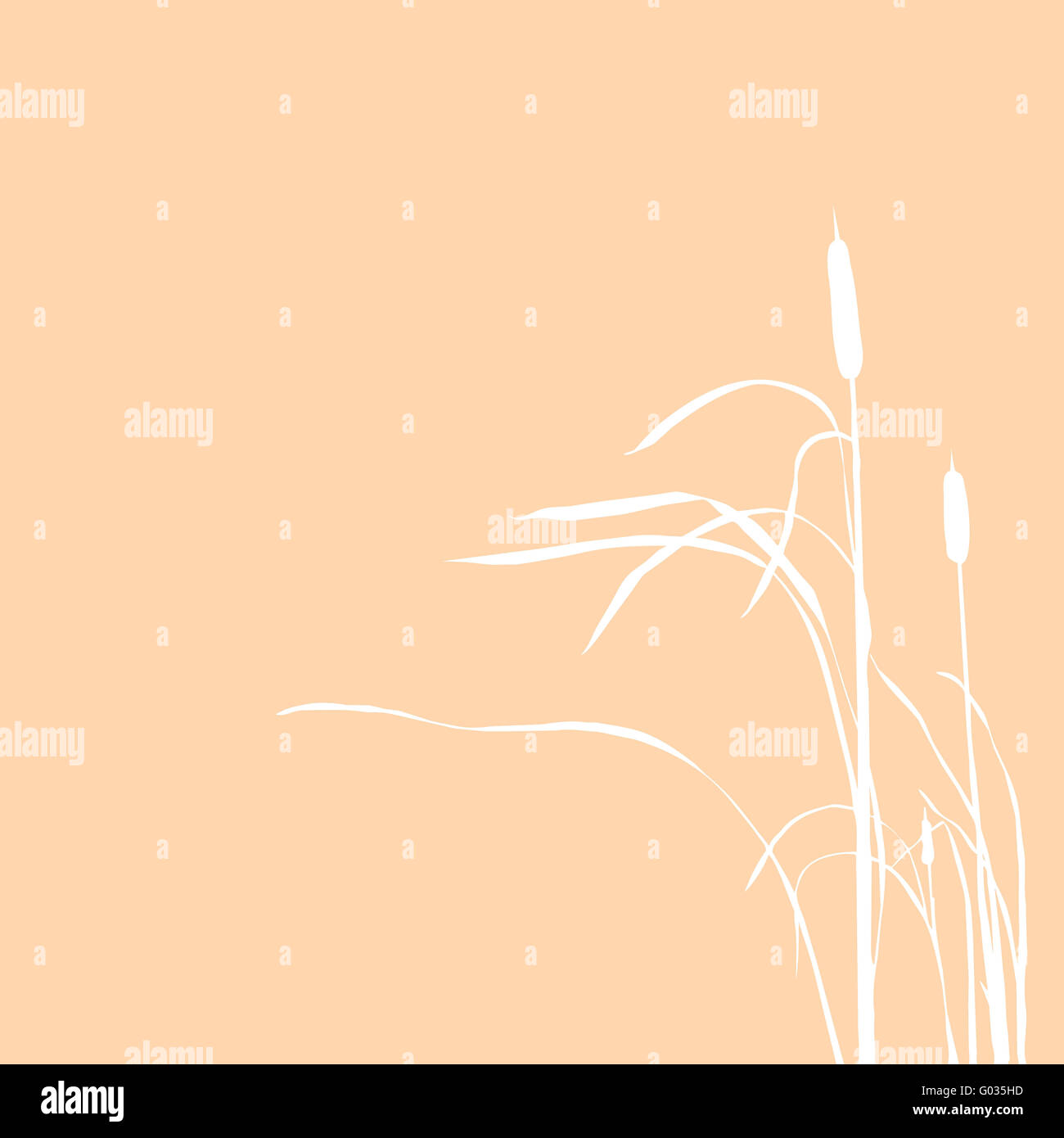 vector silhouette of the reed isolated on brown background Stock Photo ...