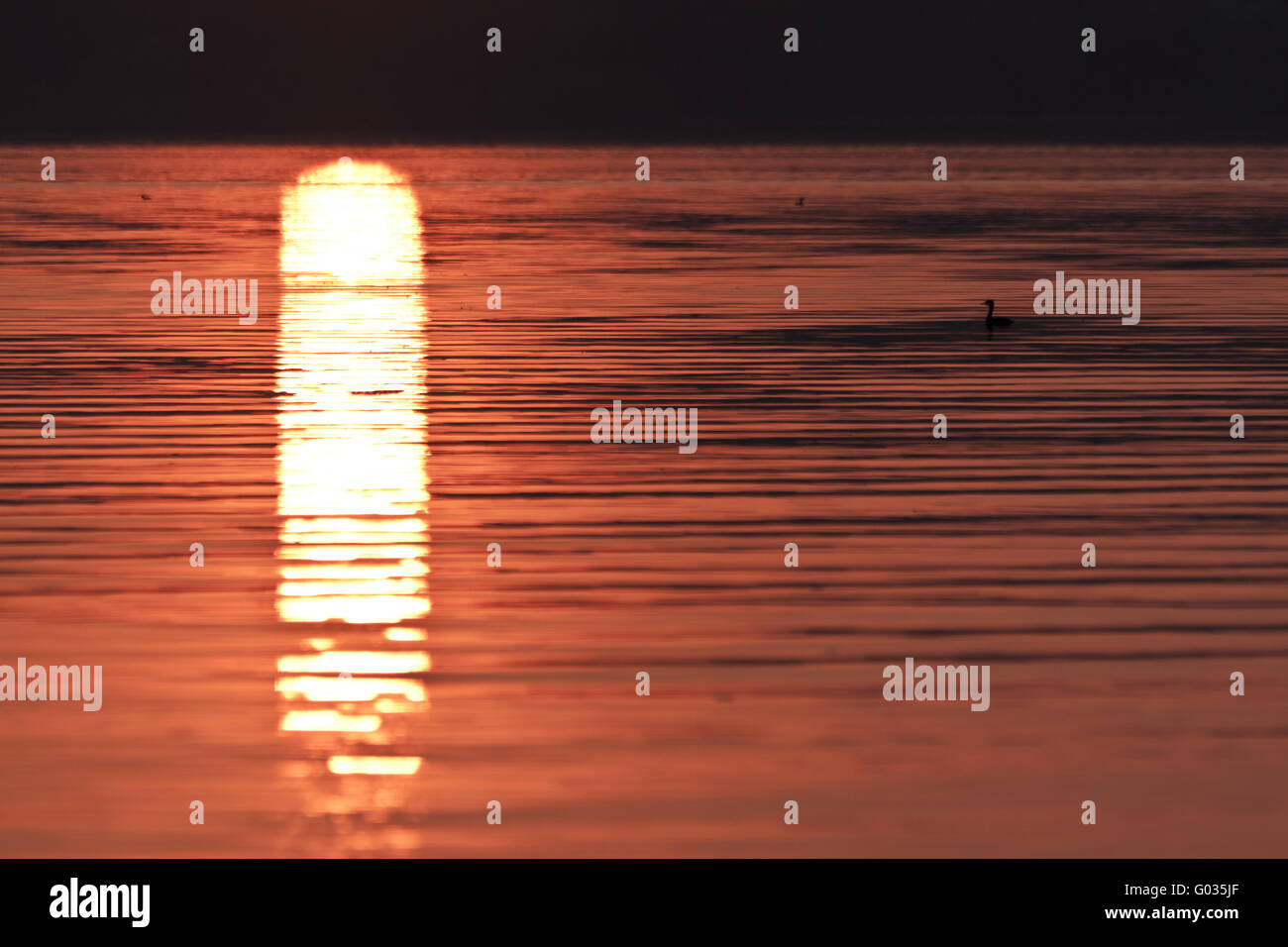 sunset at lake constance Stock Photo - Alamy