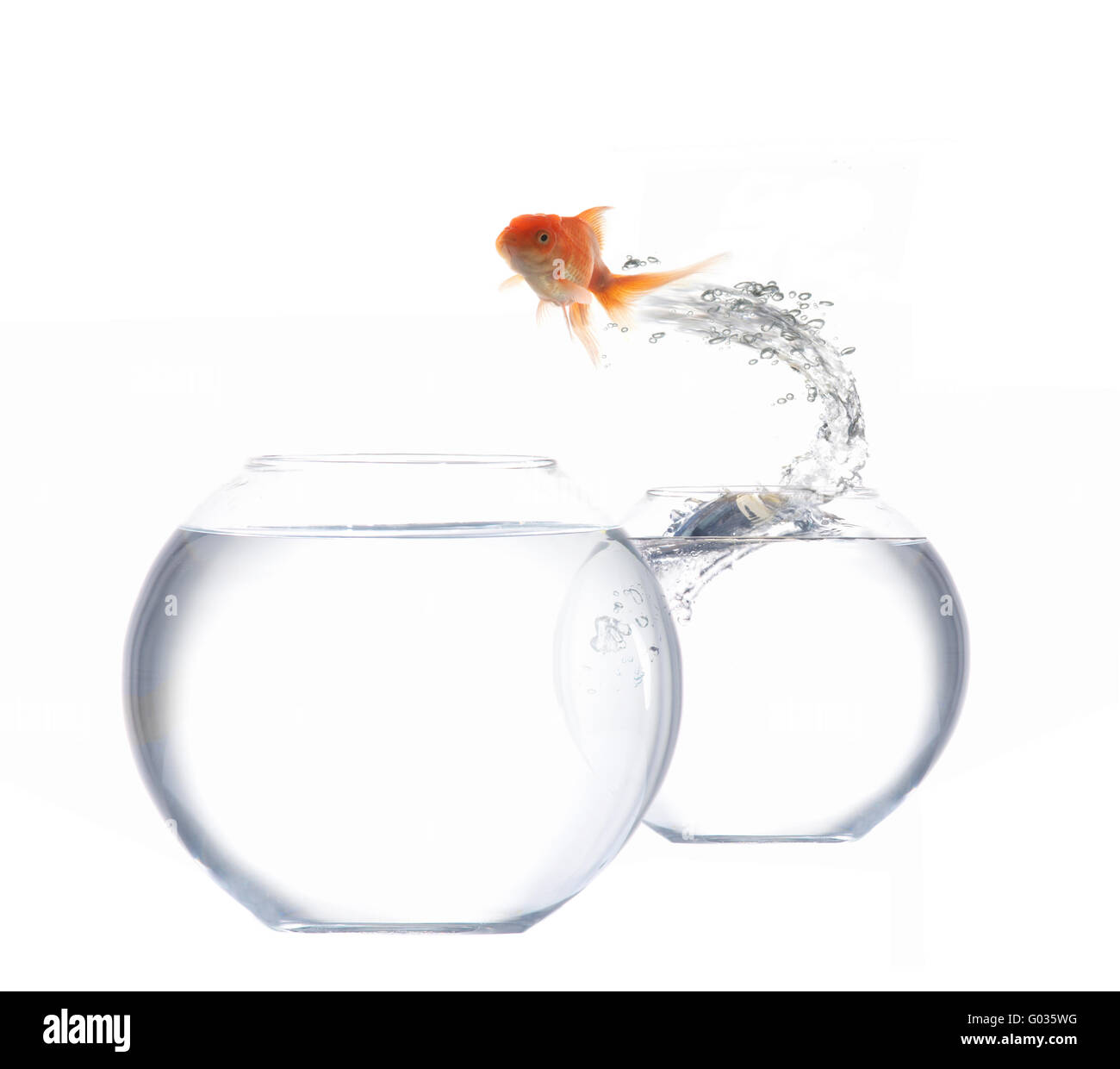 Goldfish water splash hi-res stock photography and images - Alamy