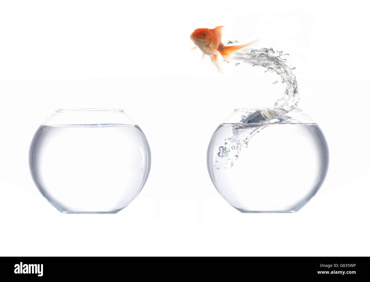 Flying goldfish hi-res stock photography and images - Alamy