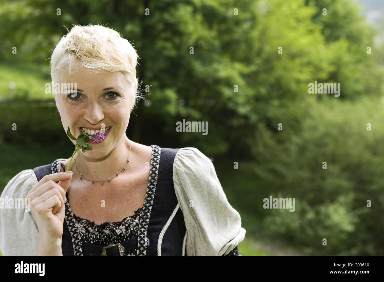 young woman gathers wild herbs Stock Photo - Alamy