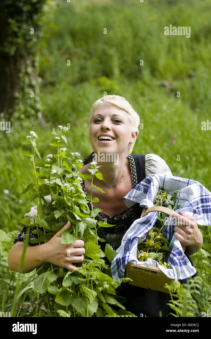 young woman gathers wild herbs Stock Photo - Alamy