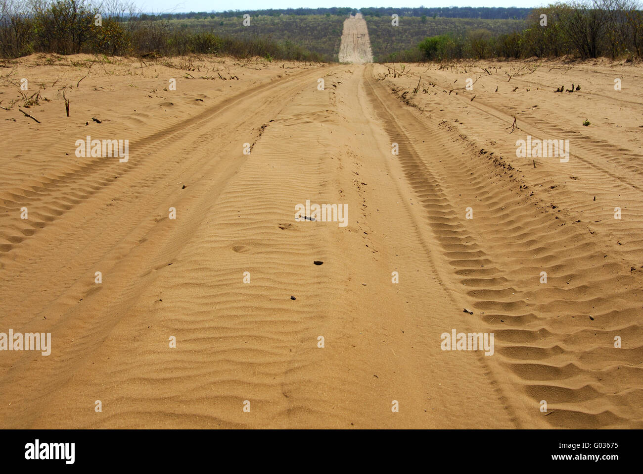 Dead straight sandy rough road,Chobe Forest Reserv Stock Photo - Alamy
