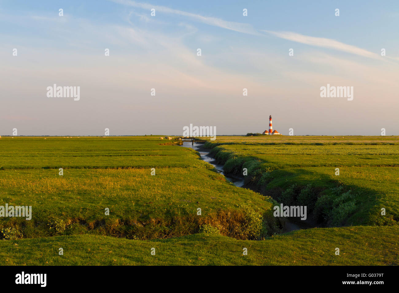 Salt meadows with lighthouse Stock Photo - Alamy