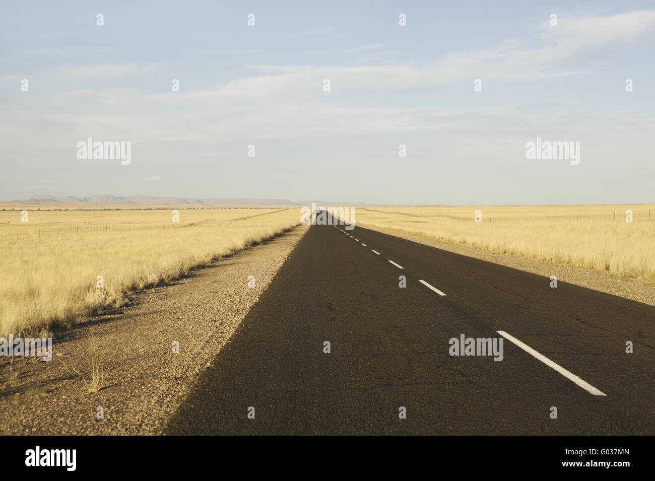 Tar bush hi-res stock photography and images - Alamy