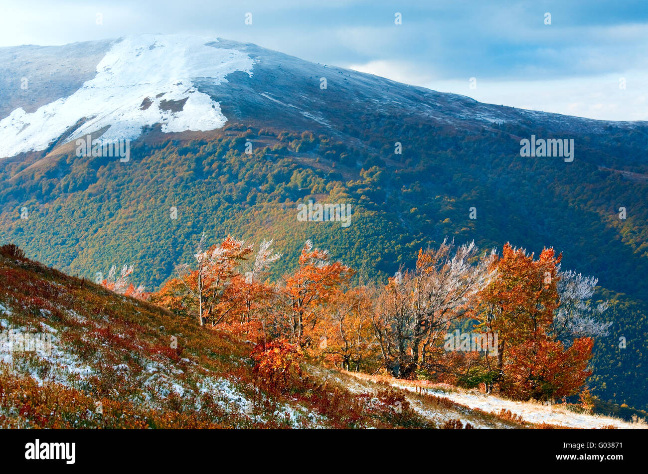 First winter snow and autumn colorful foliage on mountain Stock Photo ...