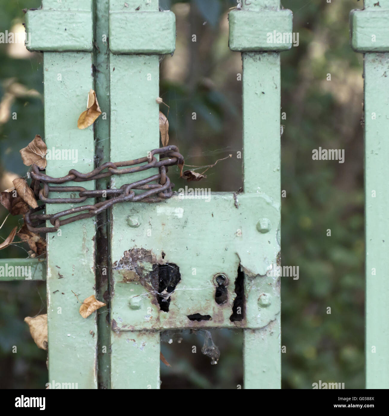 Tur design hi-res stock photography and images - Alamy