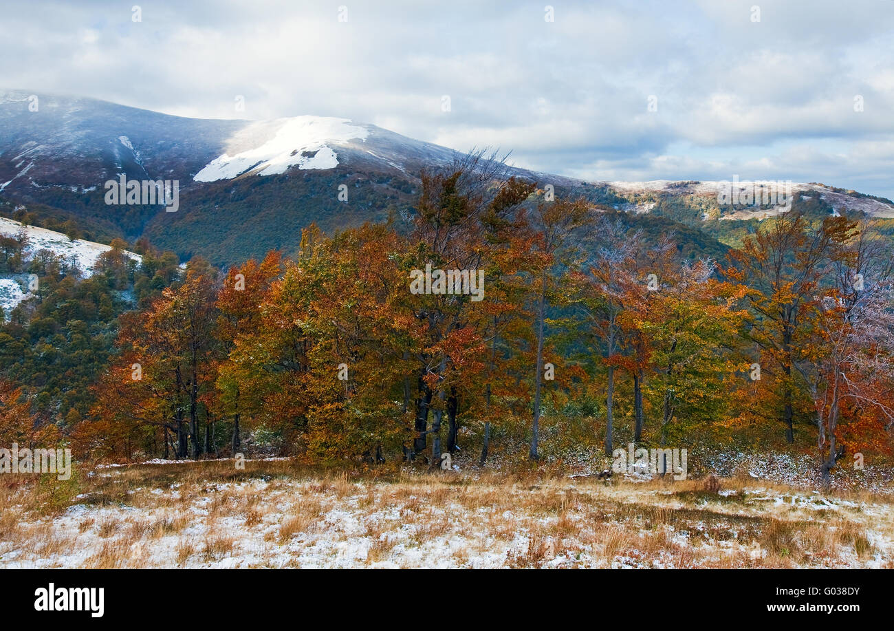 Foliage cloud hi-res stock photography and images - Alamy