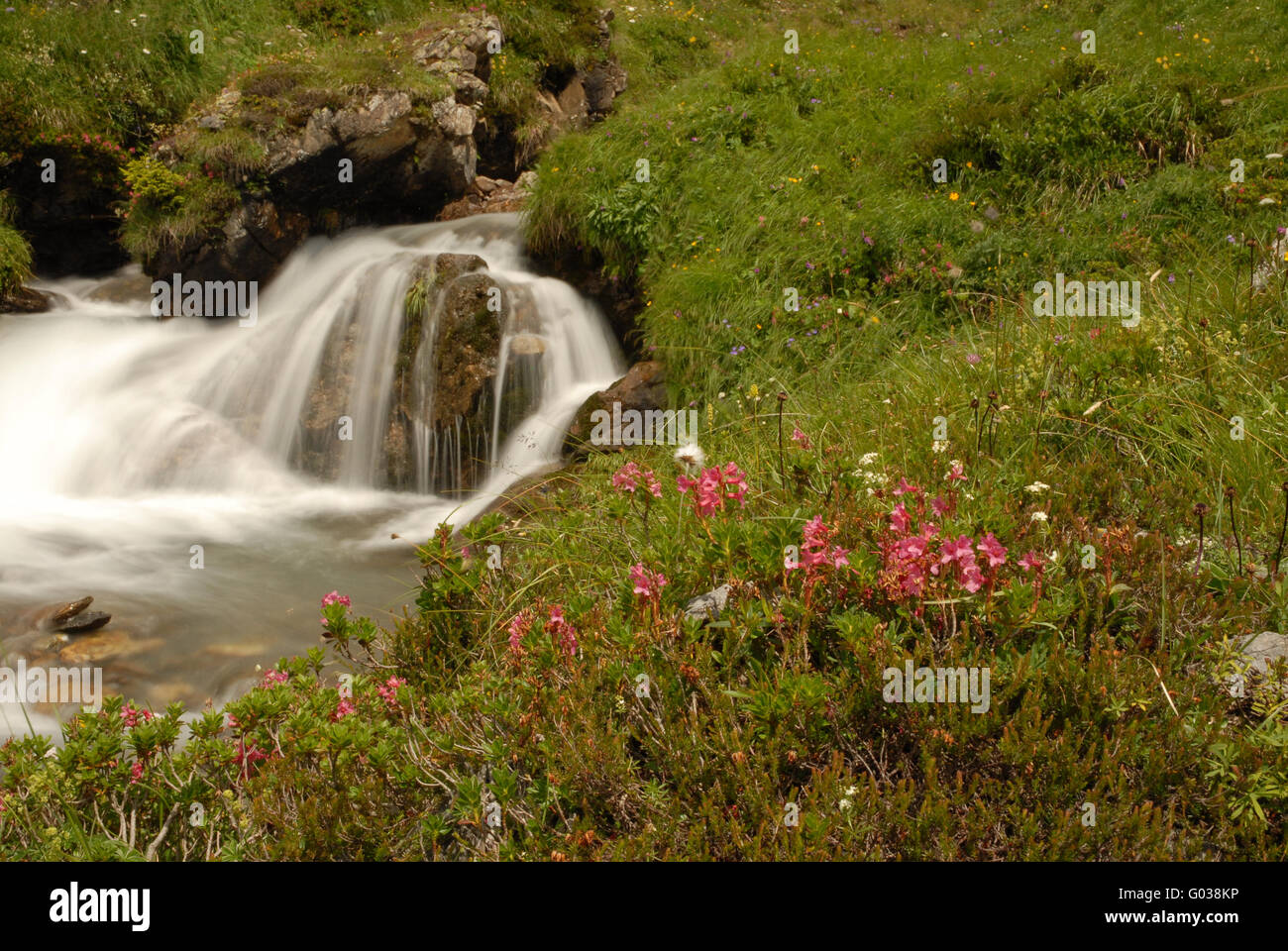Natural spring of water, long time exposure Stock Photo - Alamy
