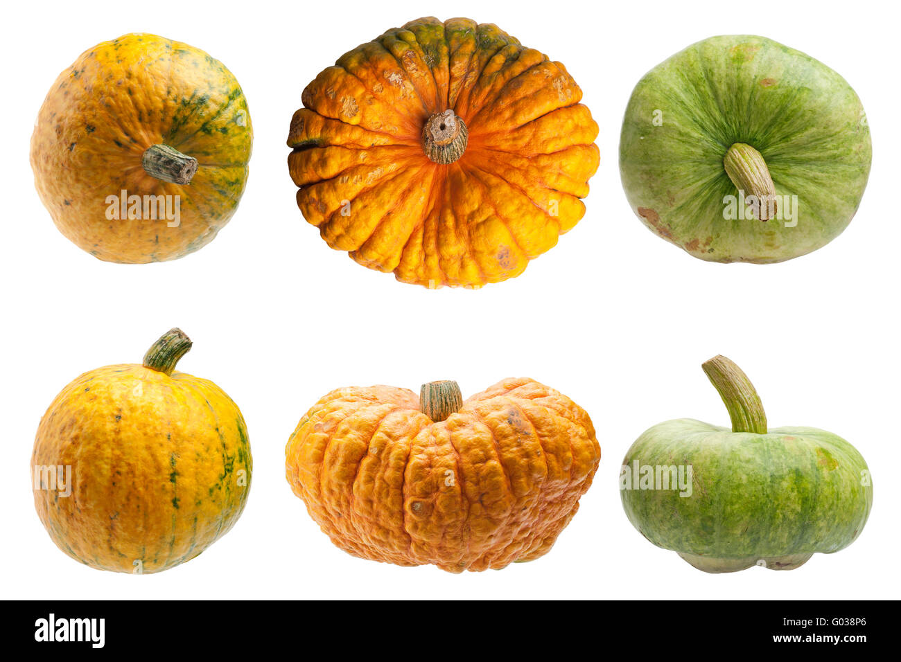 Colourful pumpkins isolated on white background Stock Photo - Alamy