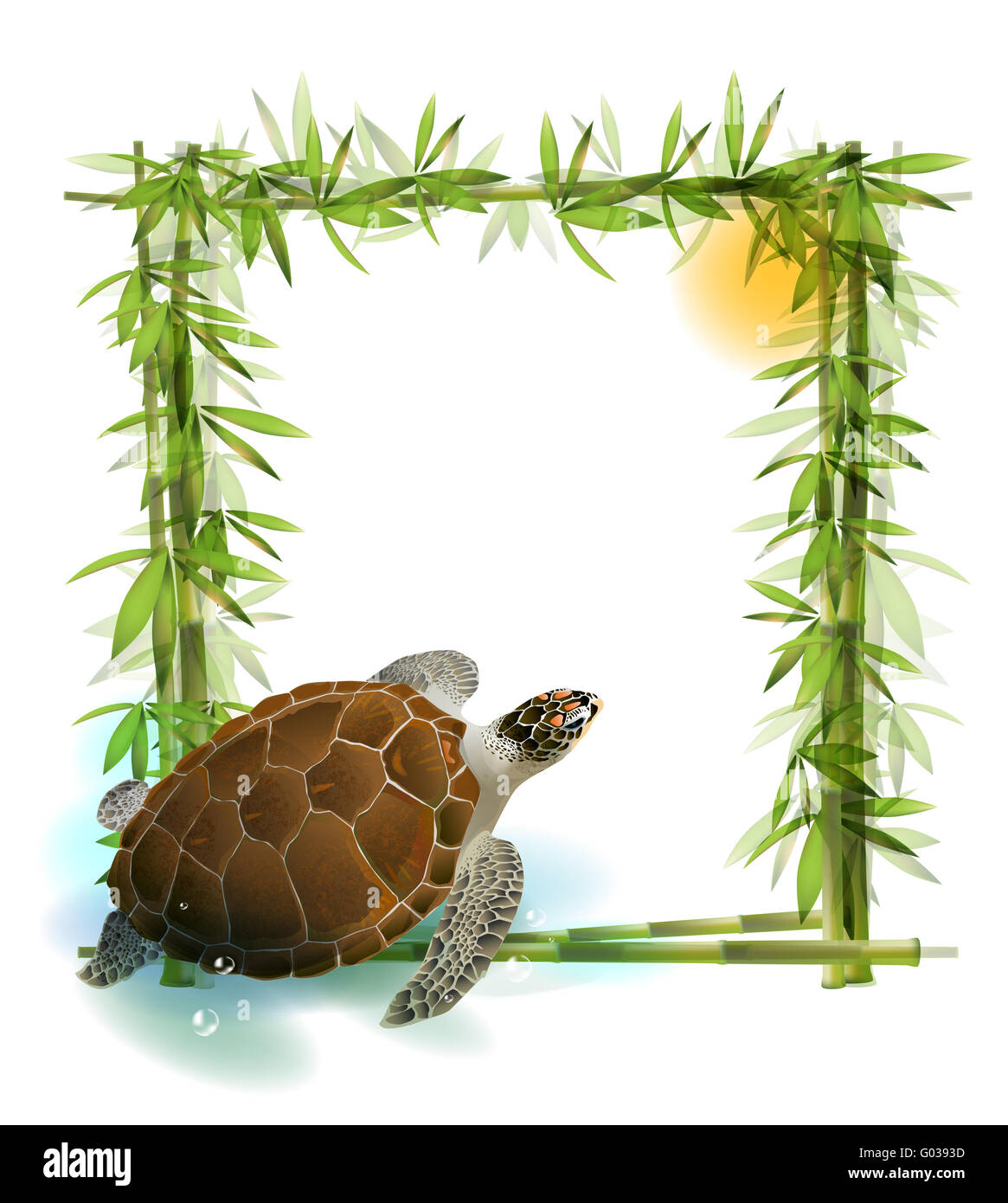Tropical sun wildlife Cut Out Stock Images & Pictures - Alamy