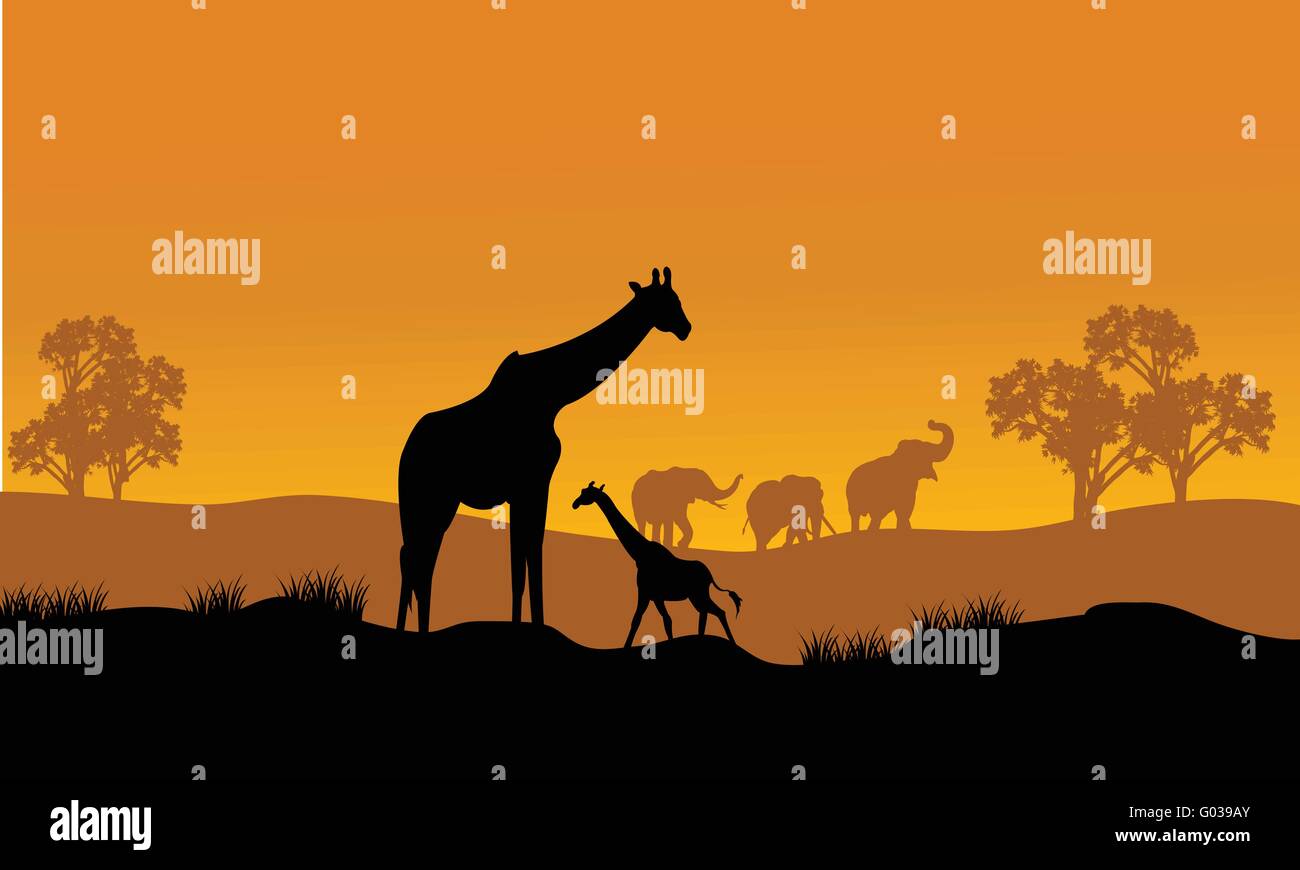 Wild african animals silhouettes Stock Vector Image & Art - Alamy