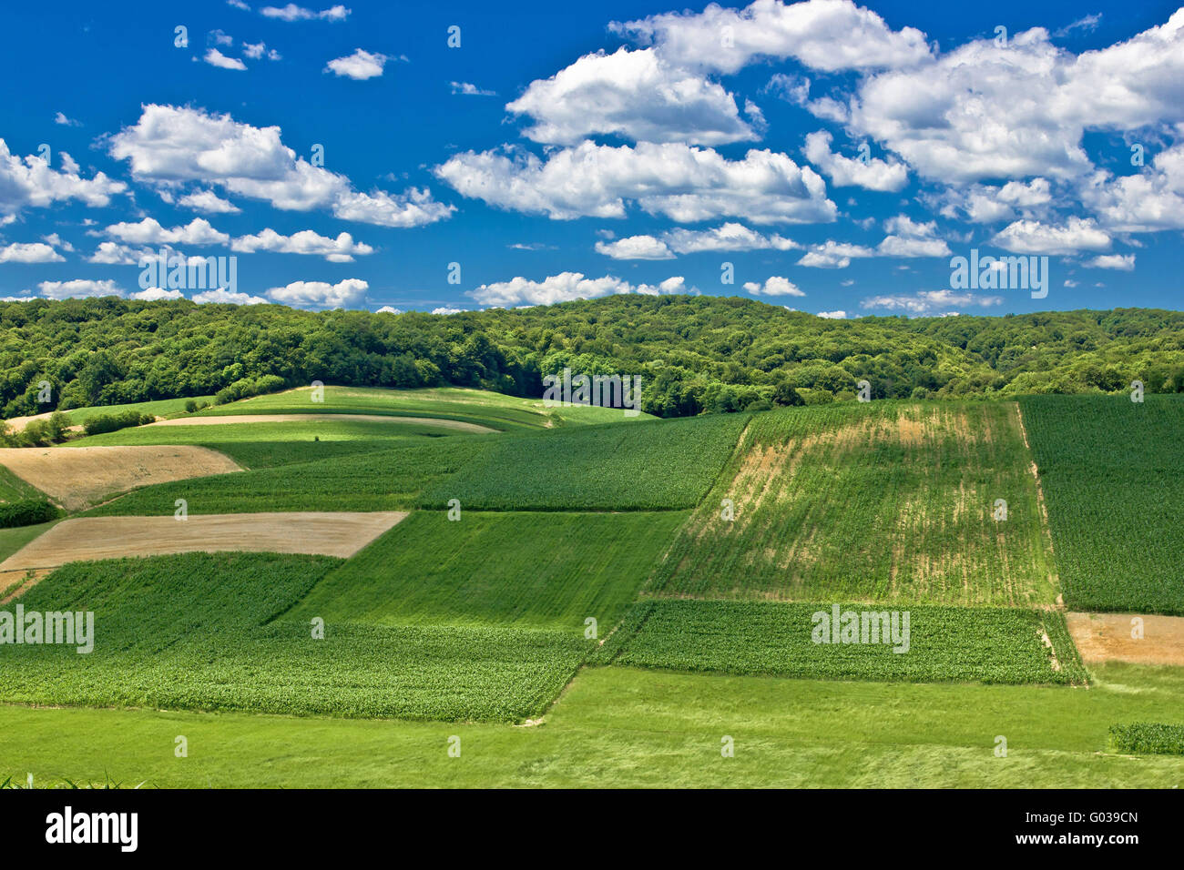 Beautiful green scenery landscape in spring time IV Stock Photo - Alamy