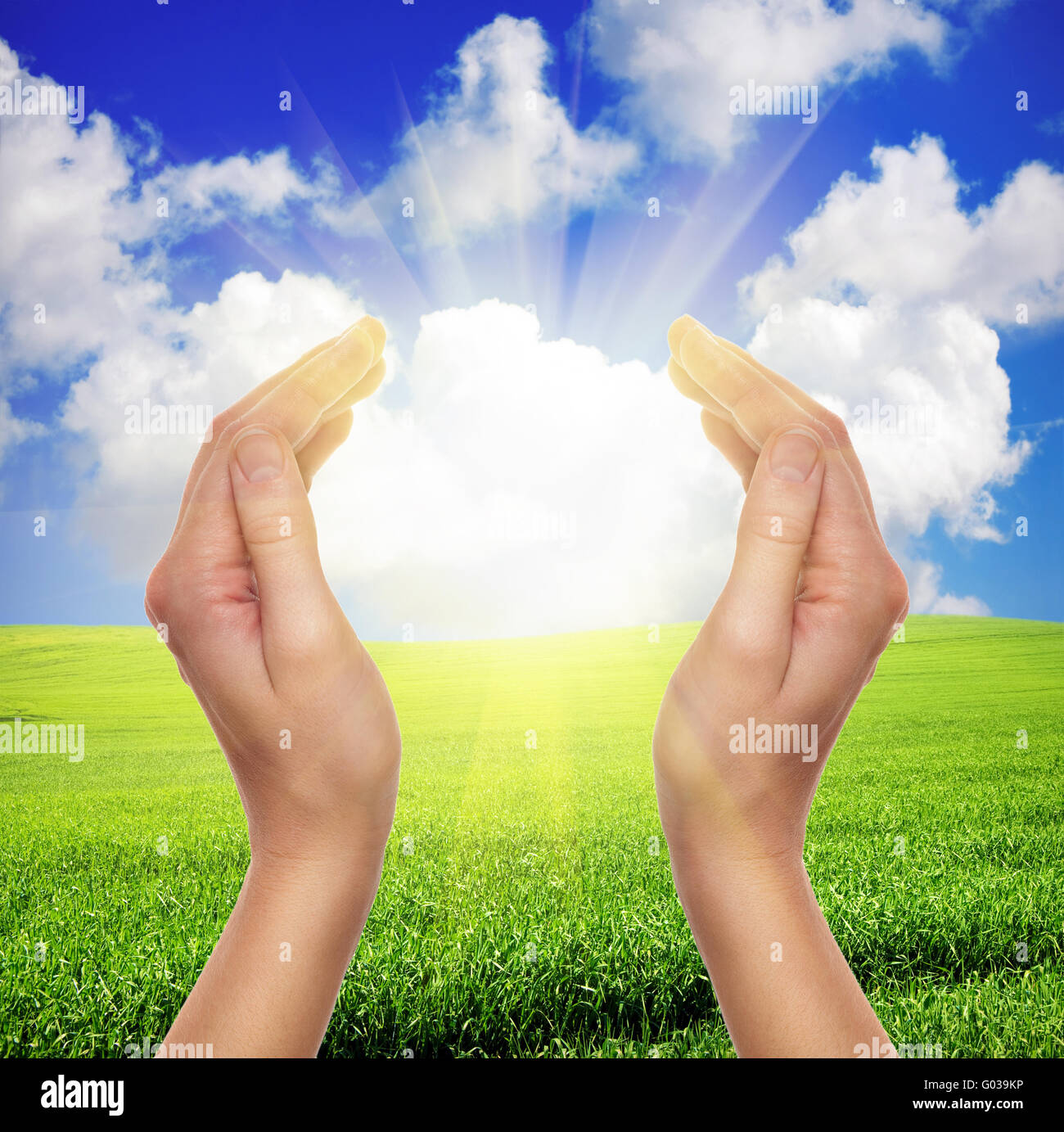 female hands holding sun over green field of grass and blue sky Stock ...