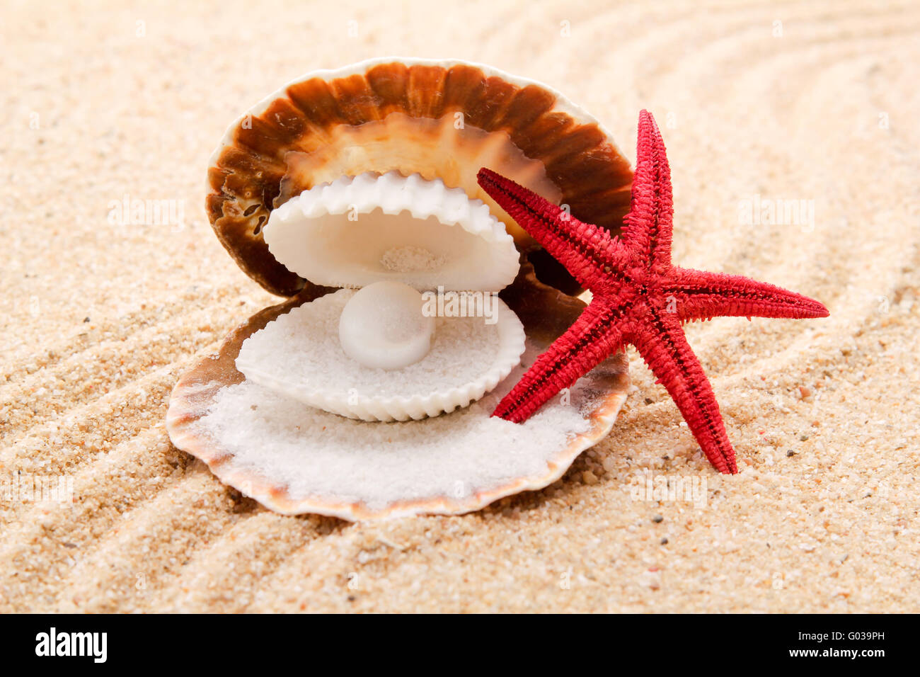 pearl on the seashell . The exotic sea shell . tre Stock Photo - Alamy