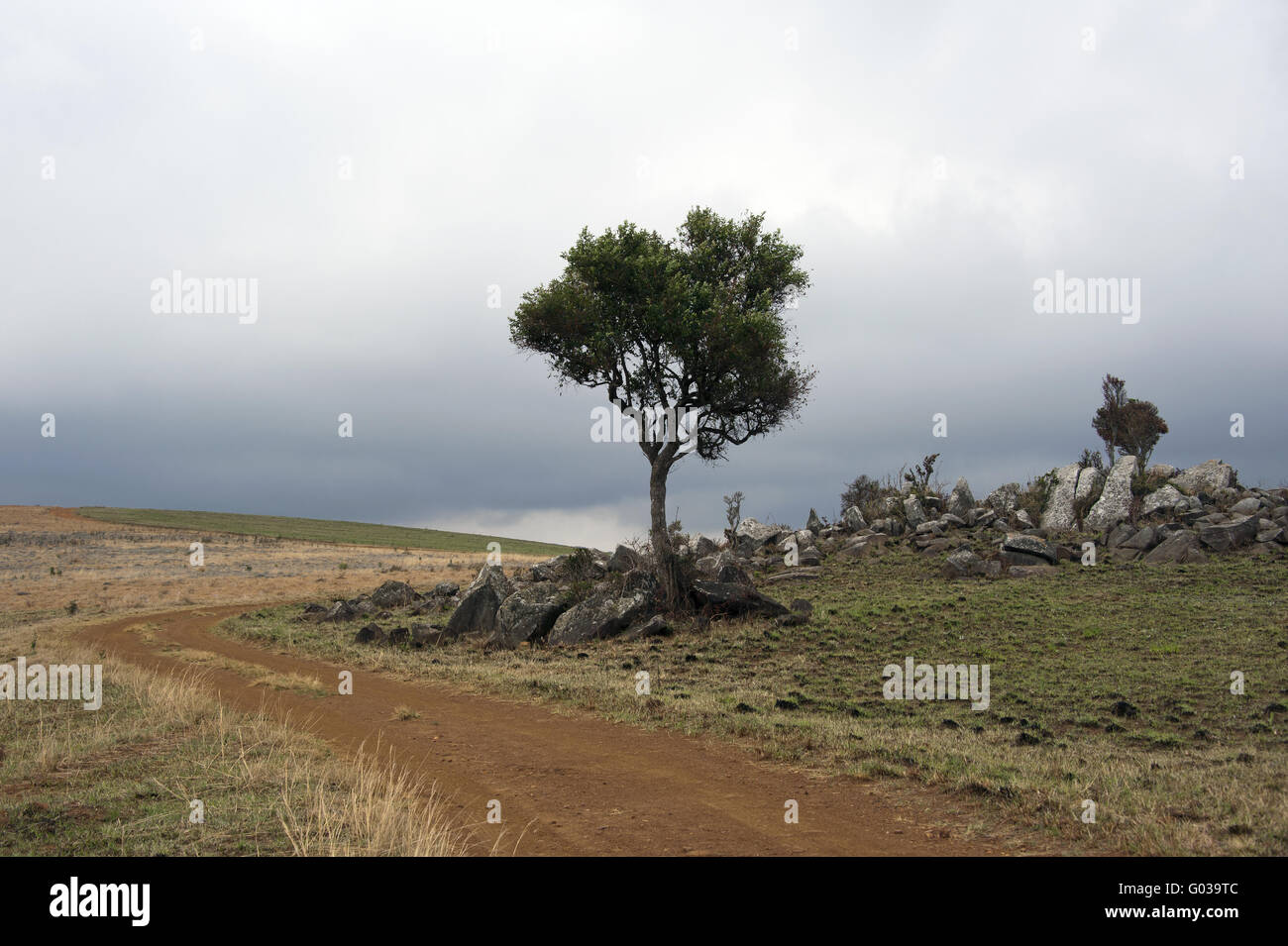 Malolotja National park Stock Photo - Alamy