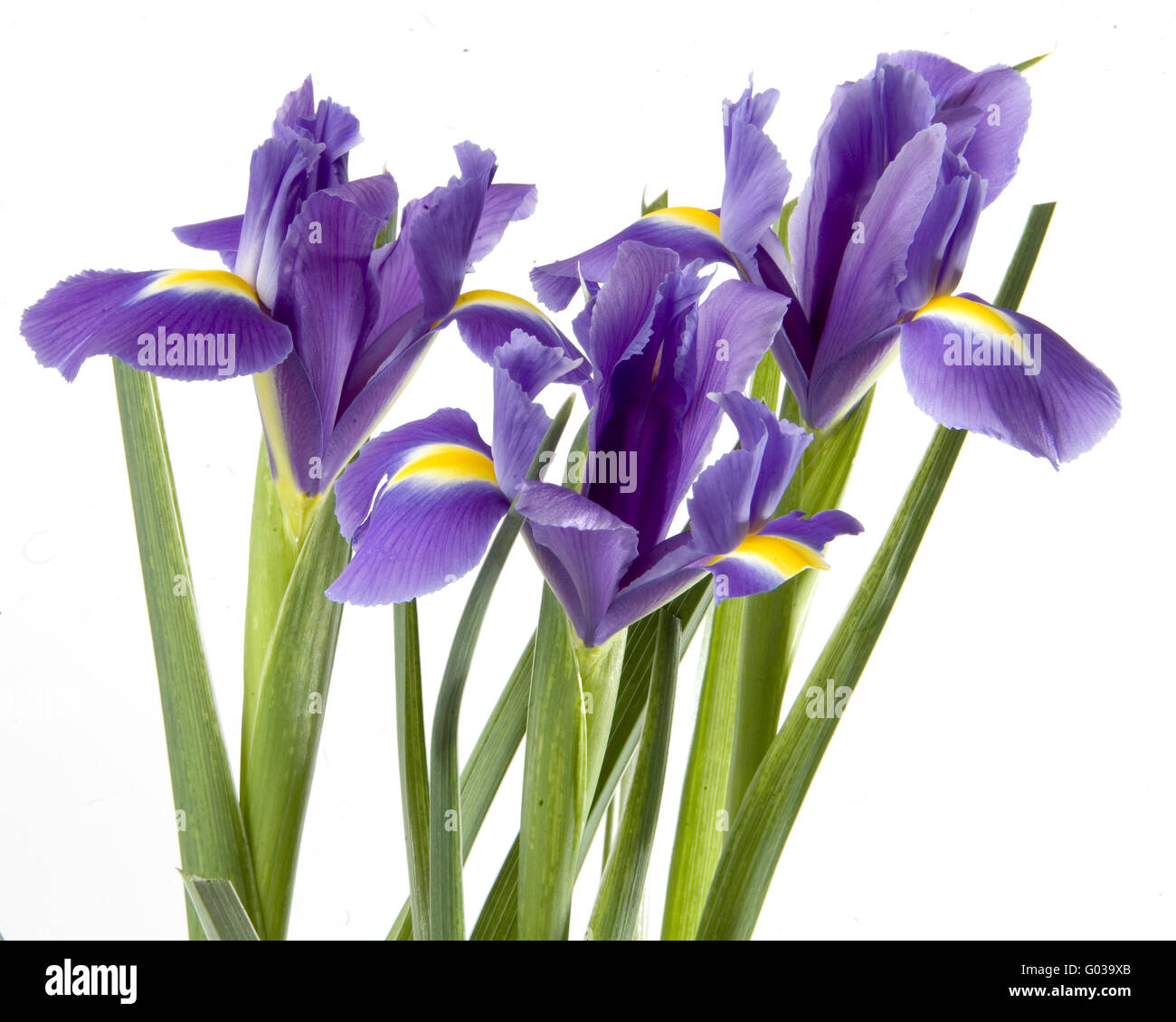 Valentine textures hi-res stock photography and images - Alamy