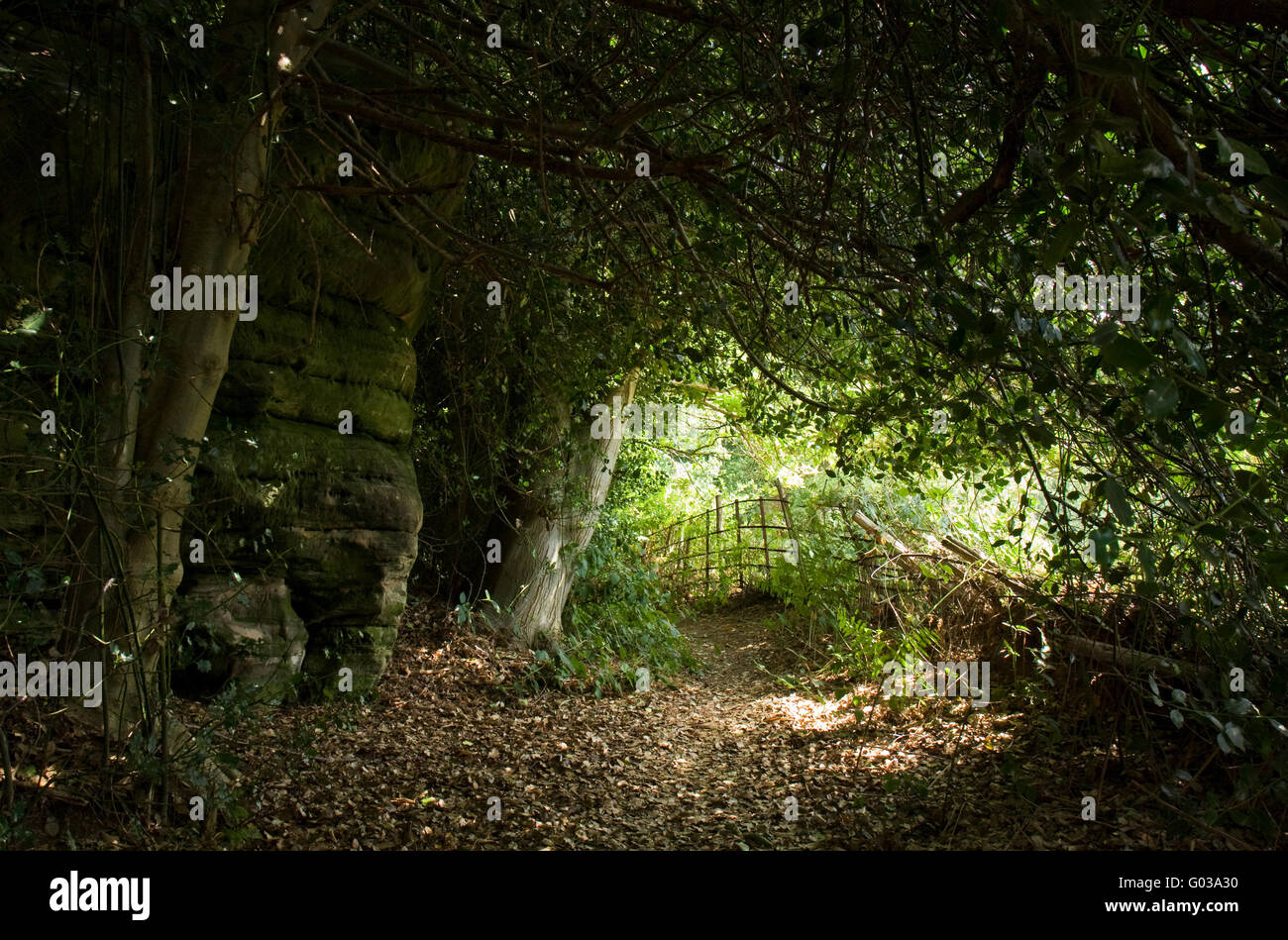 Brambletye hi-res stock photography and images - Alamy