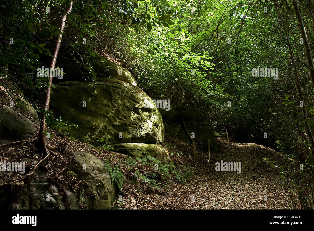 Brambletye rock hi-res stock photography and images - Alamy