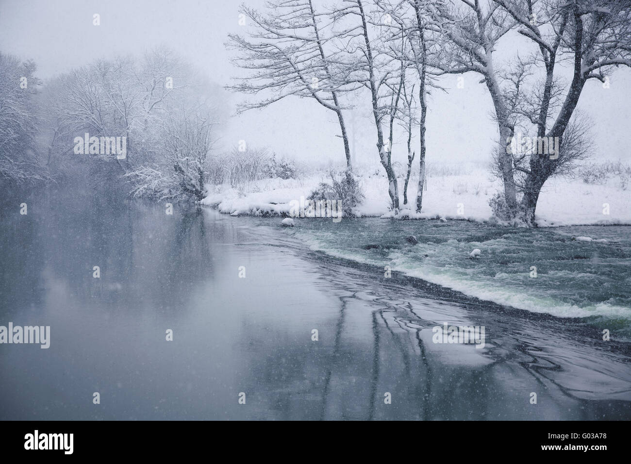 Saarlouis plant hi-res stock photography and images - Alamy