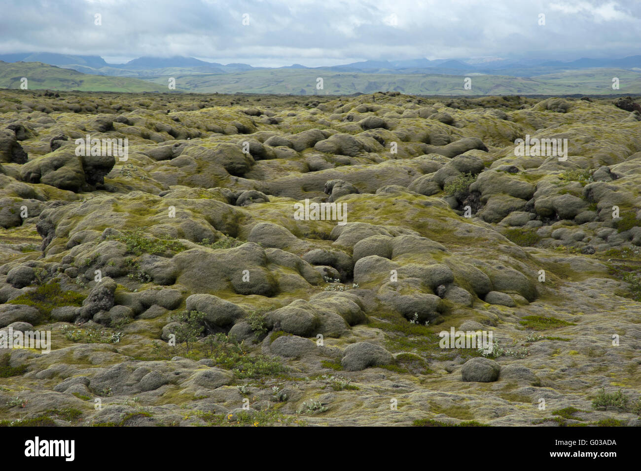 Eldhraun lavafeld hi-res stock photography and images - Alamy