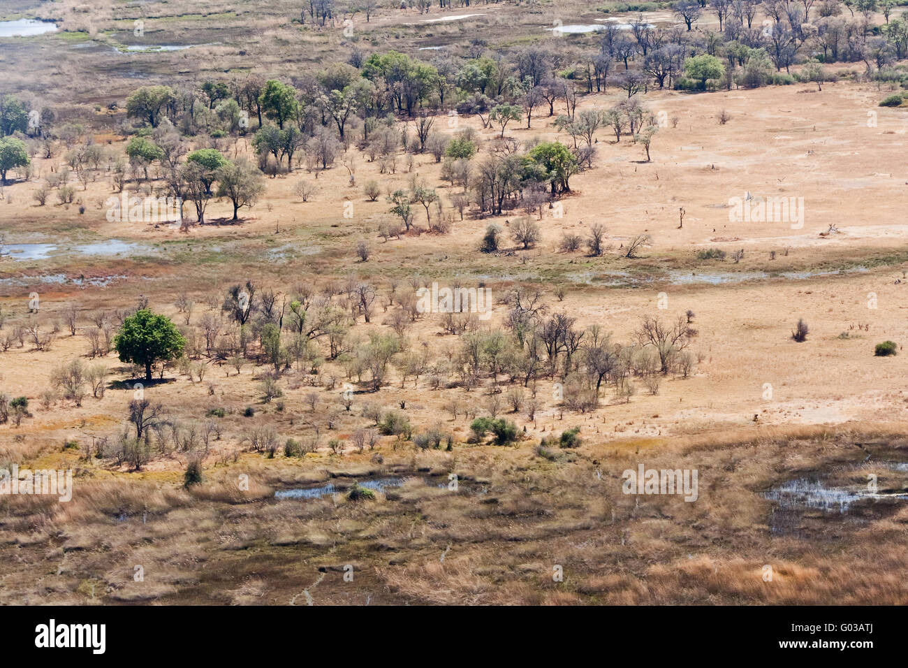 Savanne trockenzeit hi-res stock photography and images - Alamy