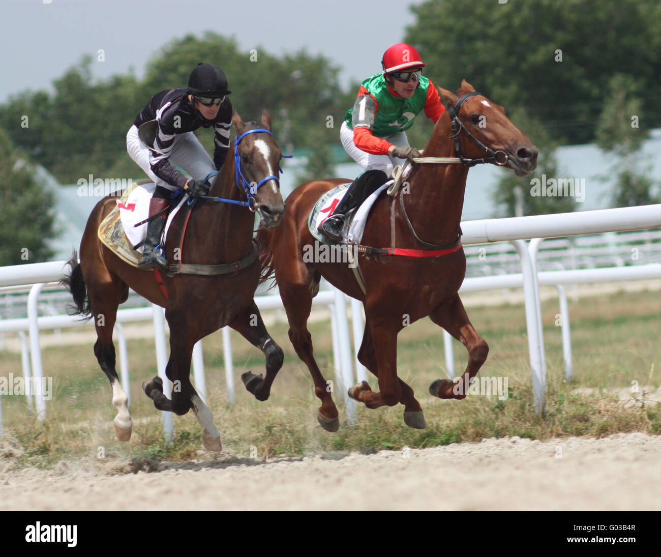 Gallop track hi-res stock photography and images - Alamy