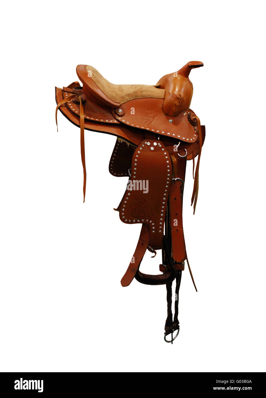 Saddle brown Cut Out Stock Images & Pictures - Alamy