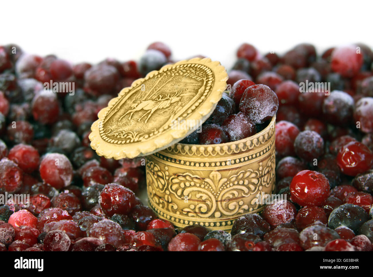 Cranberry drawing hi-res stock photography and images - Alamy