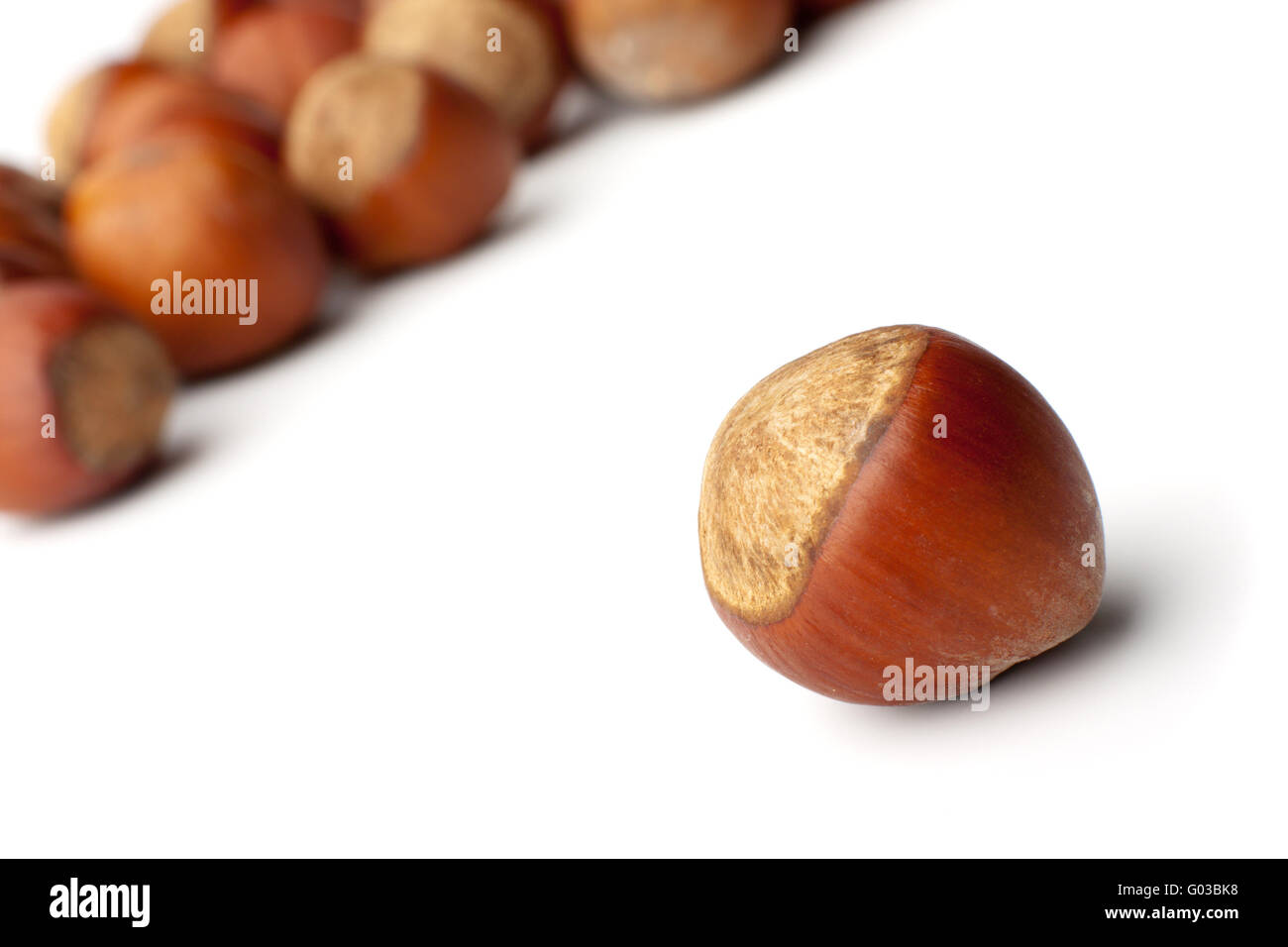 macro picture of the hazelnut in white background Stock Photo - Alamy
