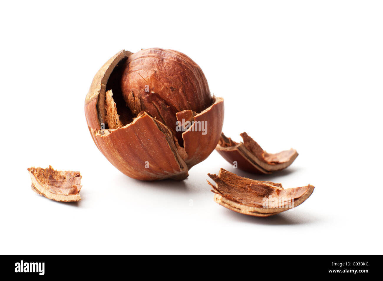 Cracked Hazelnut on white background with shadow Stock Photo - Alamy