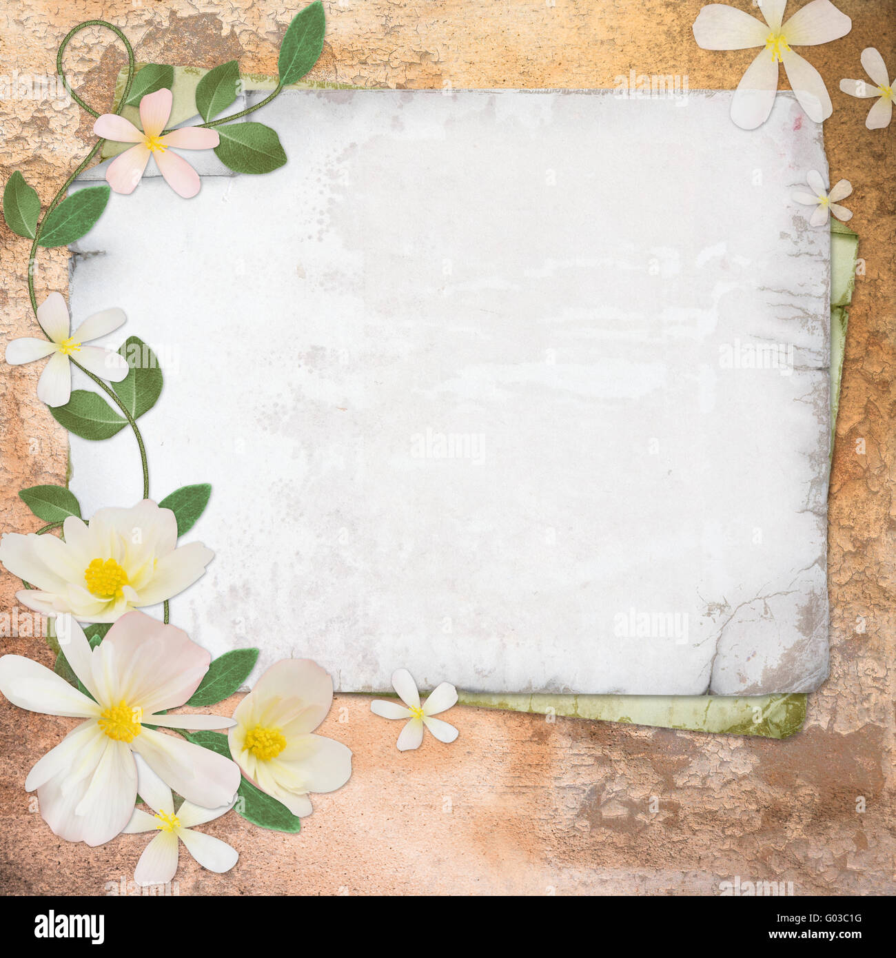 Docket design hi-res stock photography and images - Alamy