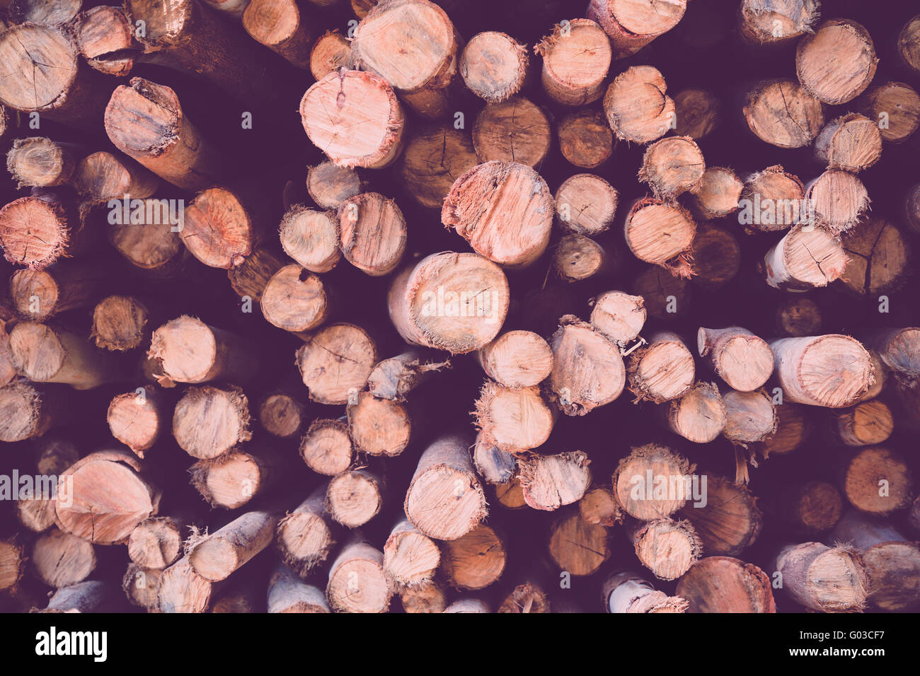 Pile of firewood, Vintage effect Stock Photo - Alamy
