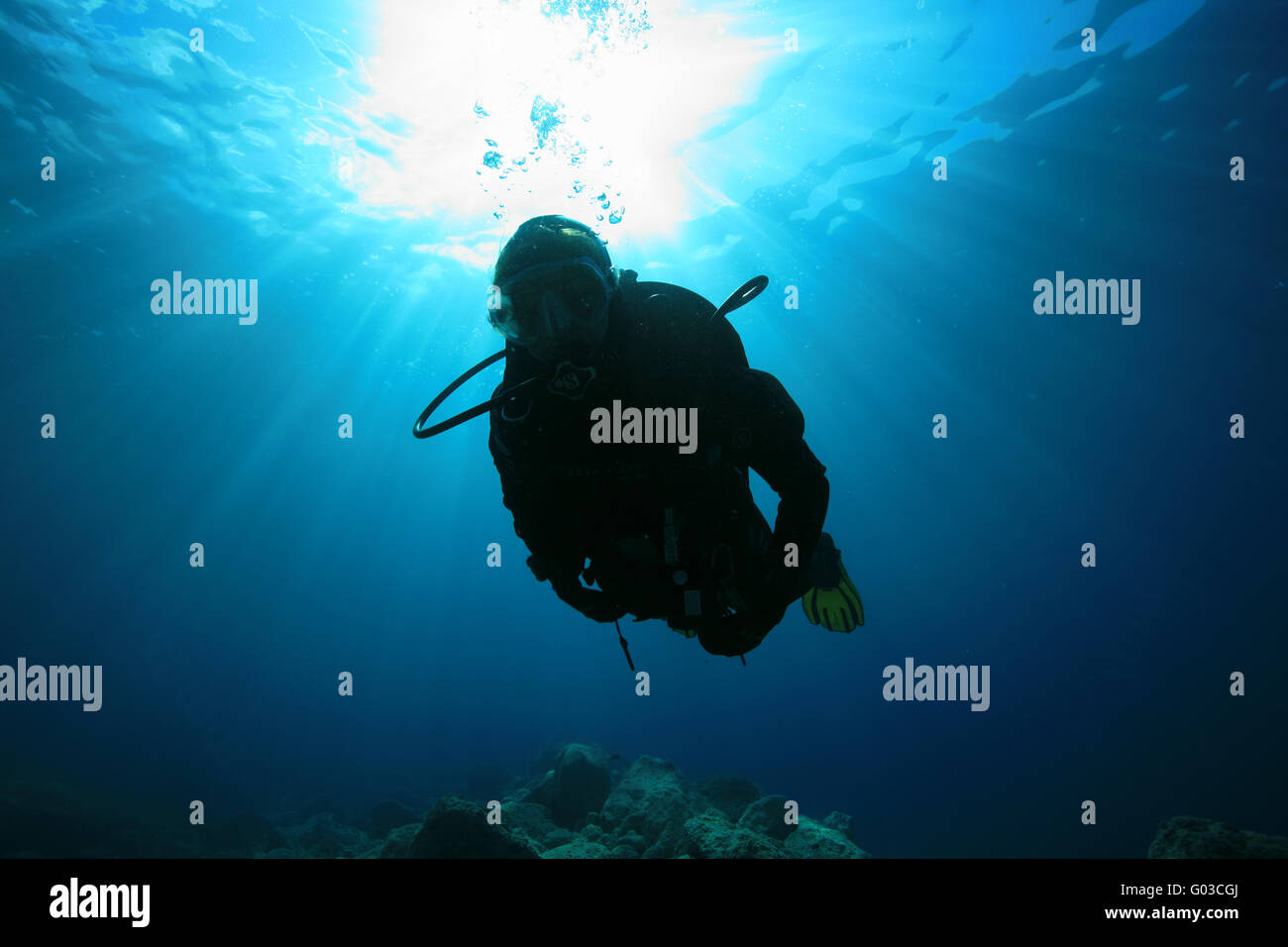 Taucher High Resolution Stock Photography and Images - Alamy