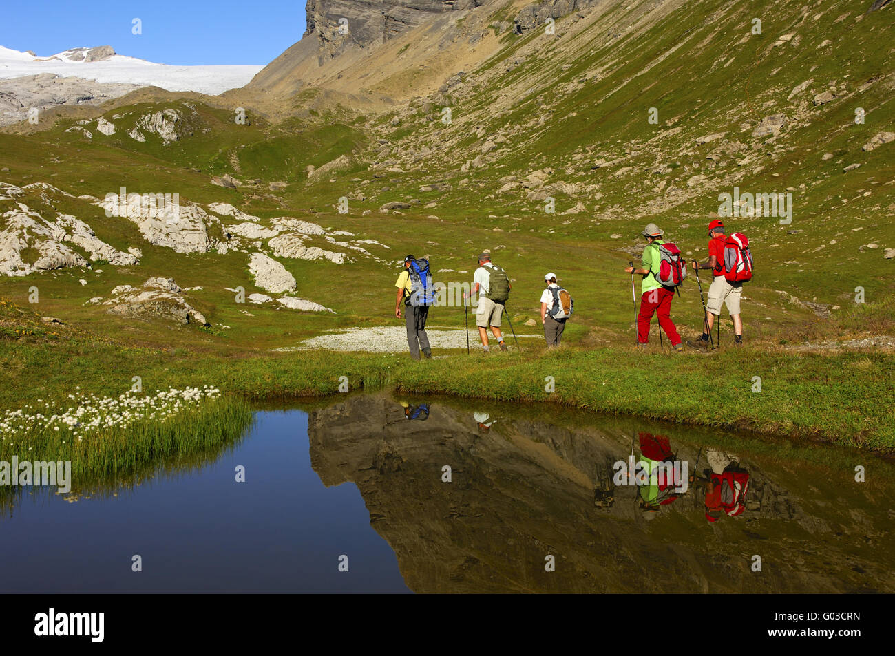 Zanfleuron hi-res stock photography and images - Alamy