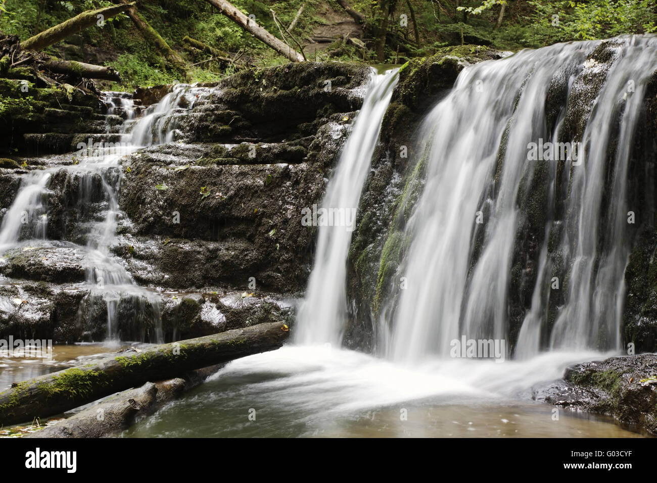 Creek natur black forest water stone hi-res stock photography and ...