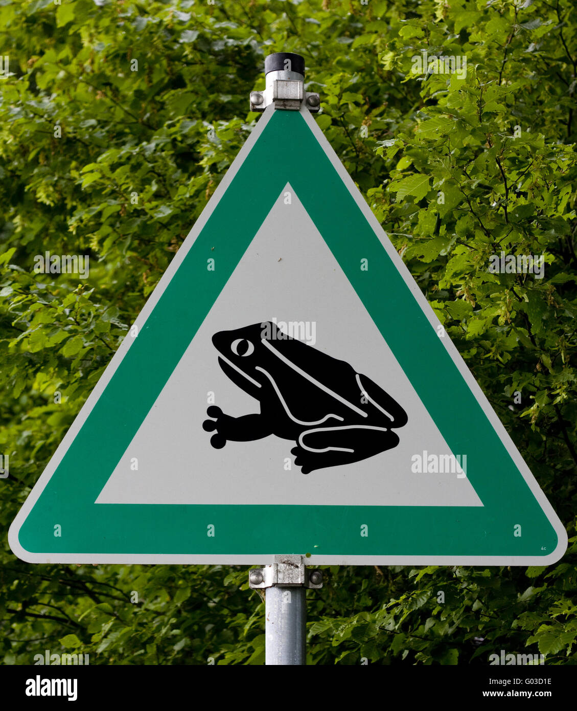 Sign attention toad migration Stock Photo - Alamy