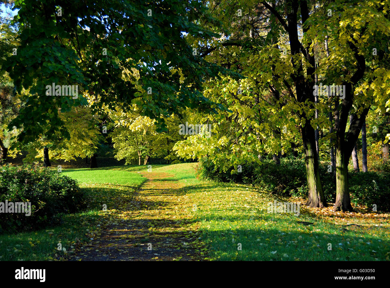 Brilliant morning scene hi-res stock photography and images - Alamy