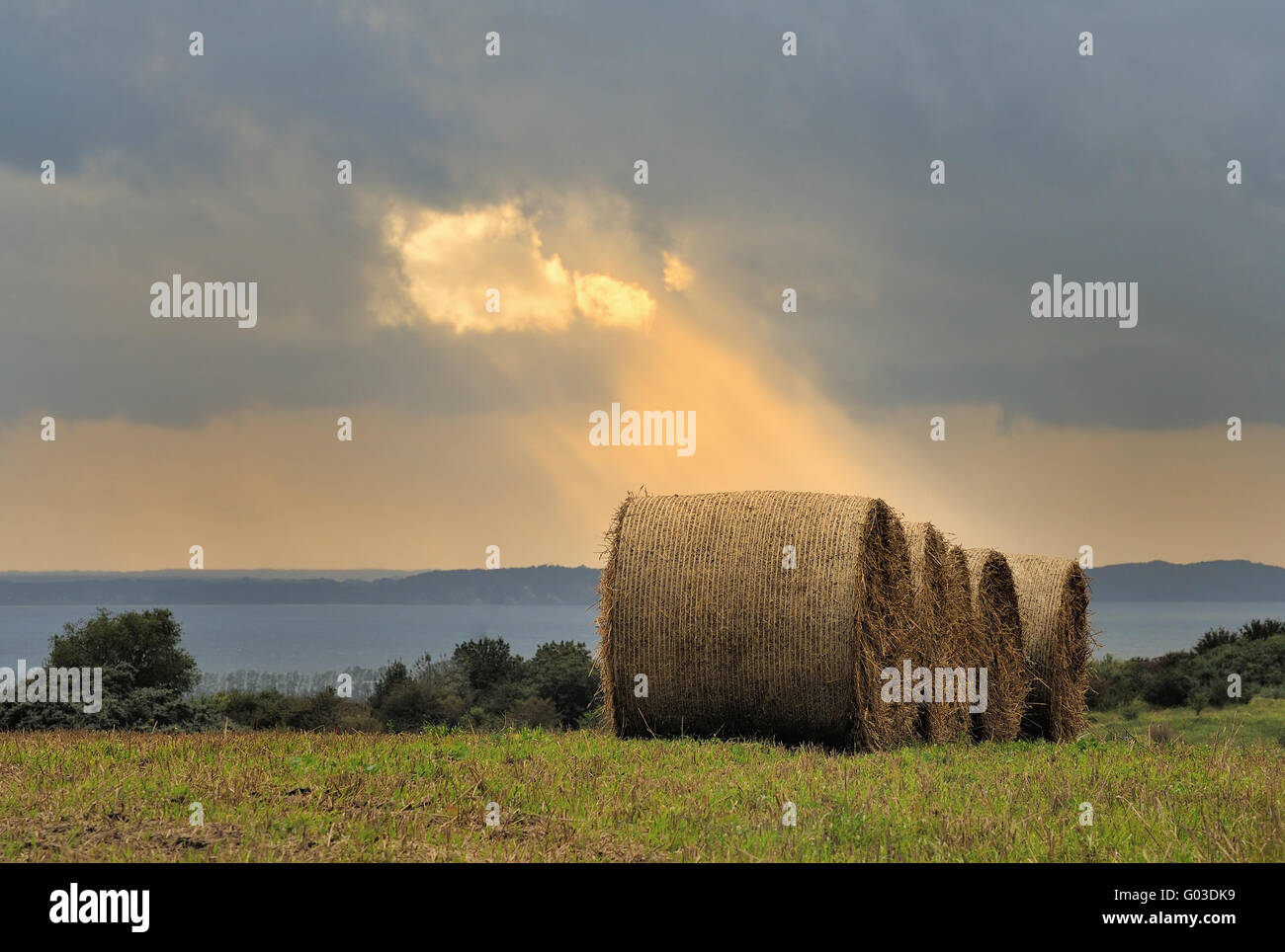 Hay bail hi-res stock photography and images - Alamy