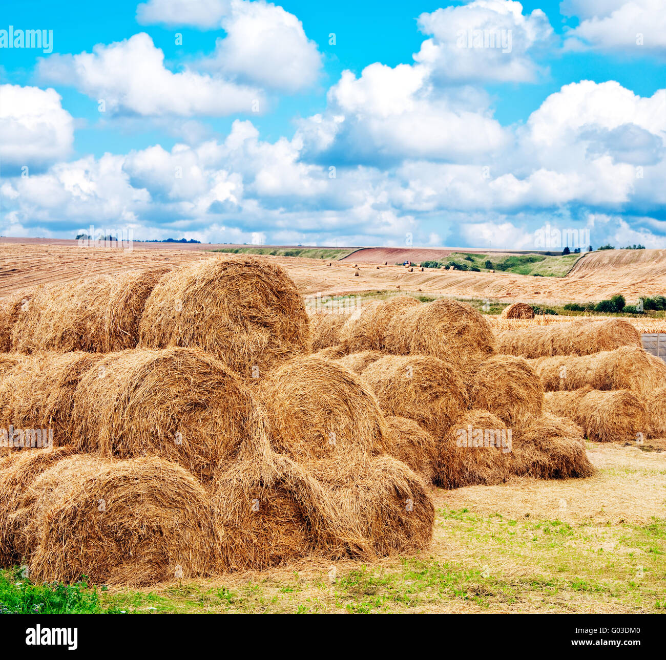 landscape view of a farm field with gathered crops Stock Photo - Alamy